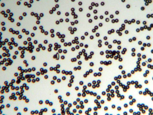 Monodisperse - Spacer Grade Microspheres - Microspheres Online